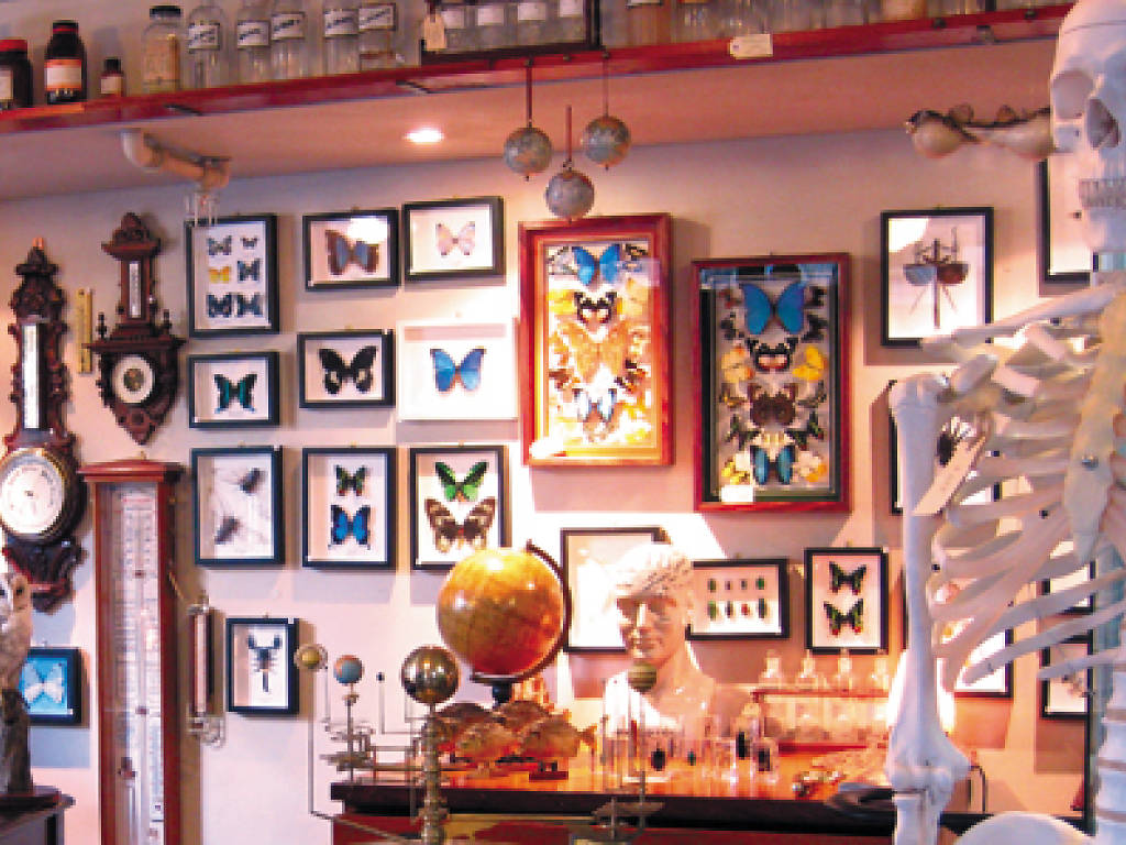 Weird and wonderful shops in Melbourne