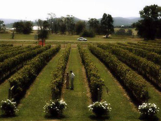 Rochford Winery | Things to do in Coldstream, Melbourne
