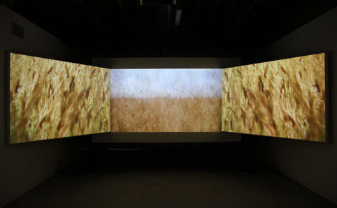 Screen Space | Art in Melbourne, Melbourne