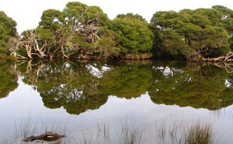 Spring Creek | Things to do in Torquay, Melbourne