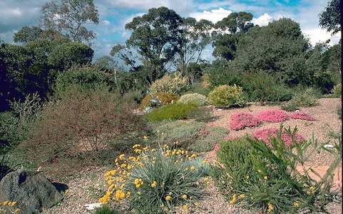 Maranoa Gardens | Things to do in Balwyn, Melbourne
