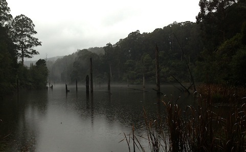 Lake Elizabeth | Travel in Forrest, Melbourne