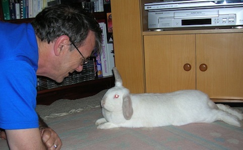 Rabbit Run-Away Orphanage | Things to do in Olinda, Melbourne