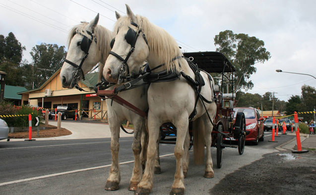 Around Hurstbridge | Things to do in Hurstbridge, Melbourne
