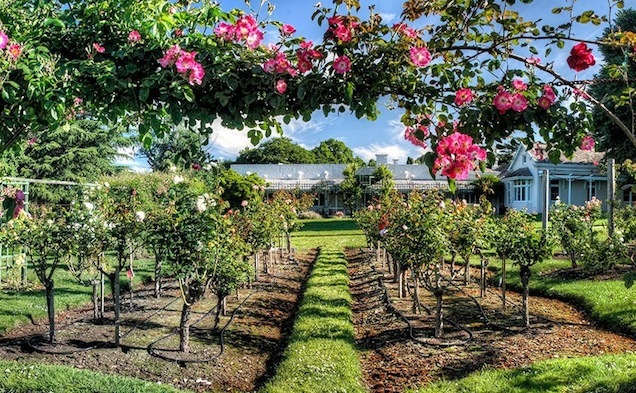 Coombe: the Melba Estate | Museums in Coldstream, Melbourne