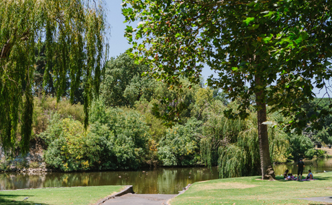 Coburg Lake Reserve | Things to do in Coburg North, Melbourne