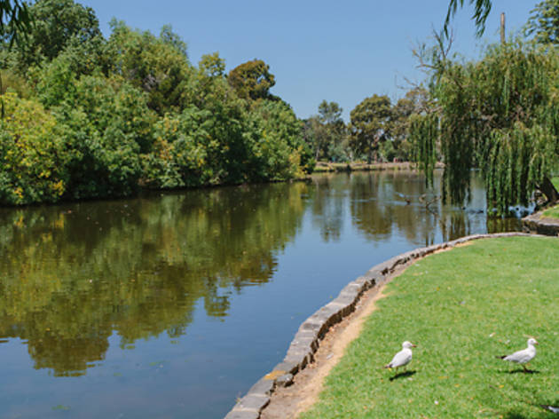 Coburg Lake Reserve | Things to do in Coburg North, Melbourne