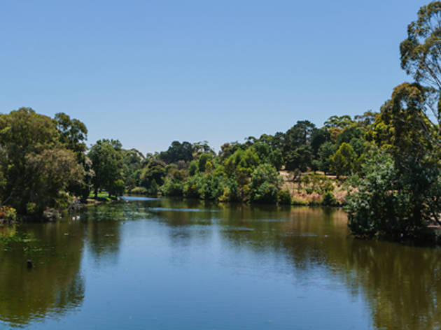 Coburg Lake Reserve | Things to do in Coburg North, Melbourne