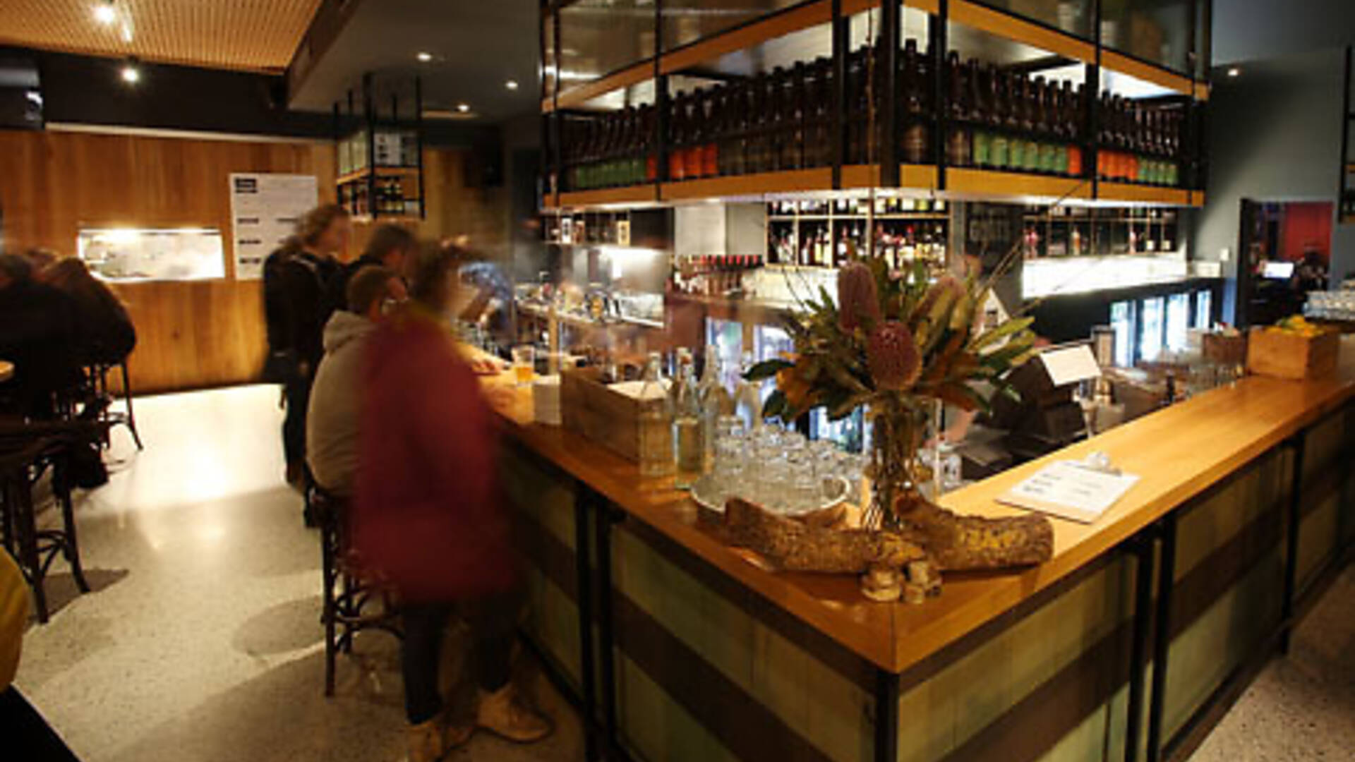 Terminus Hotel, North Fitzroy | Bars in Fitzroy North, Melbourne