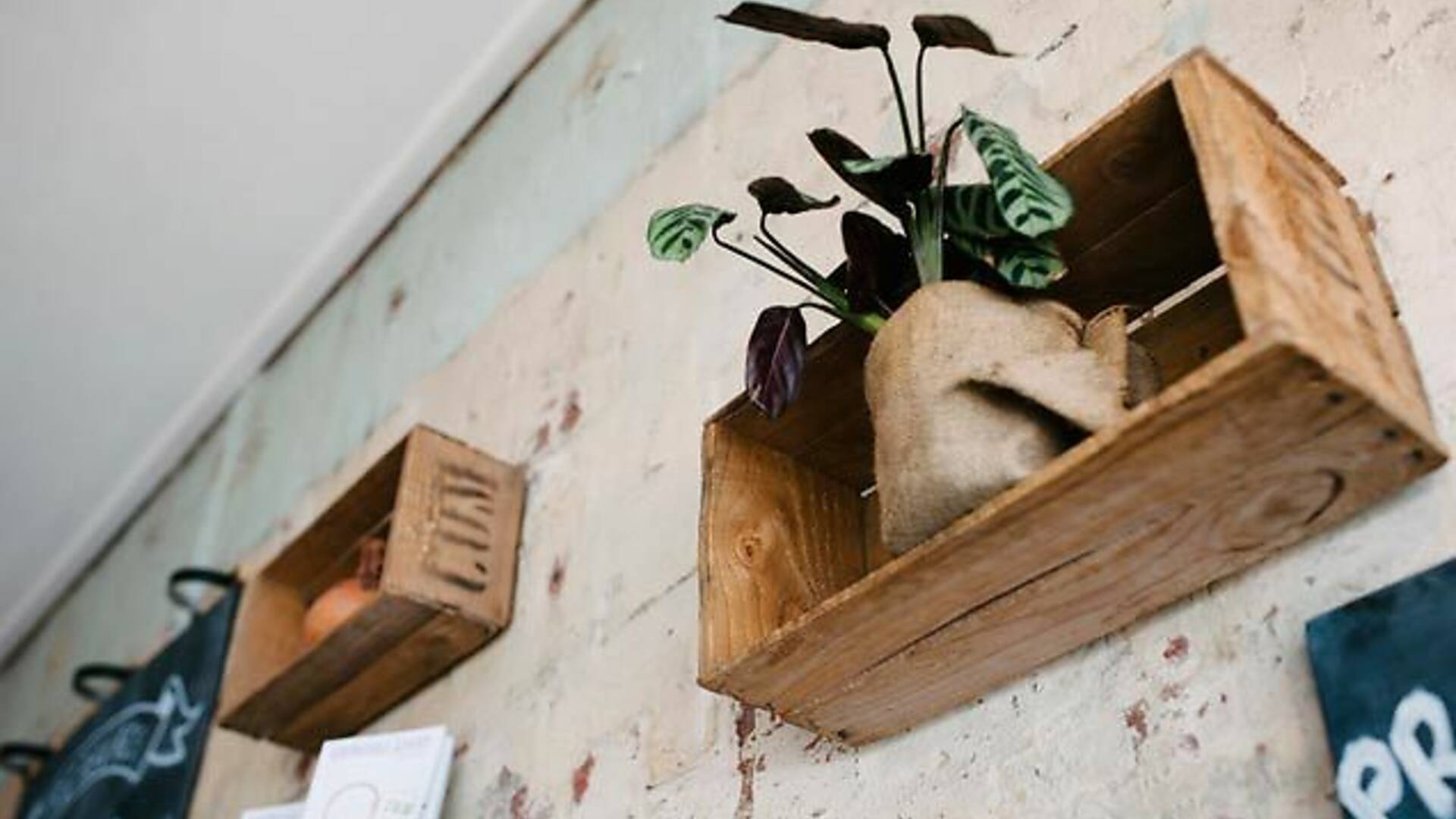 Wild Timor Coffee | Restaurants in Coburg, Melbourne