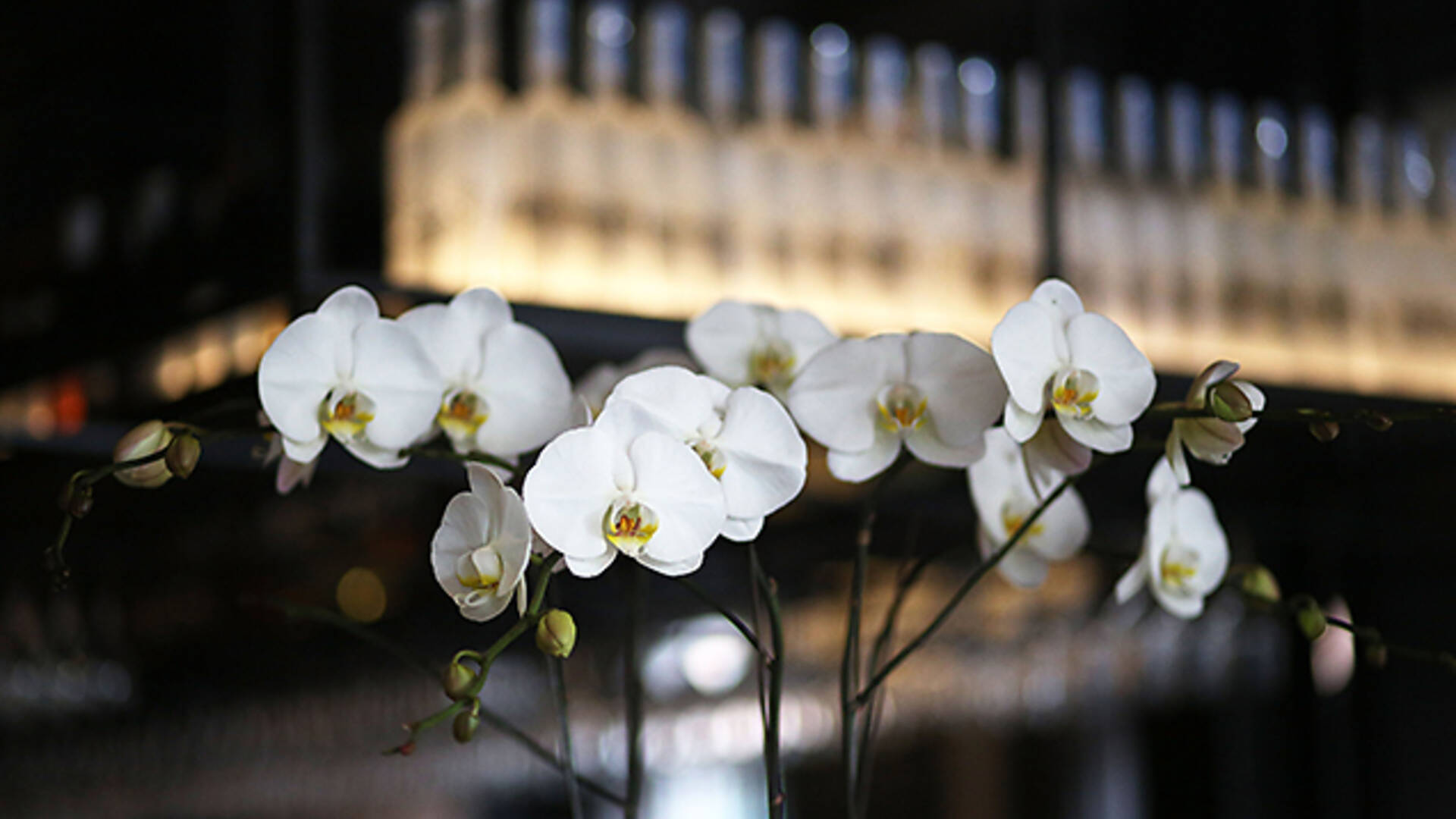 Coppersmith | Restaurants in South Melbourne, Melbourne