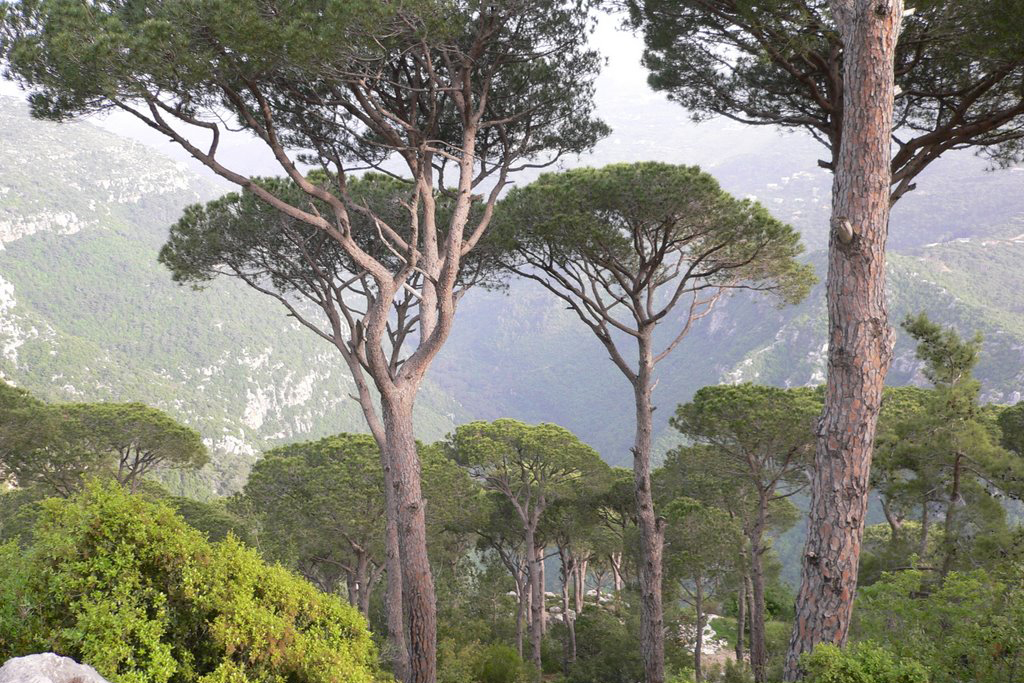 Guide to Broumana and Beit Mary