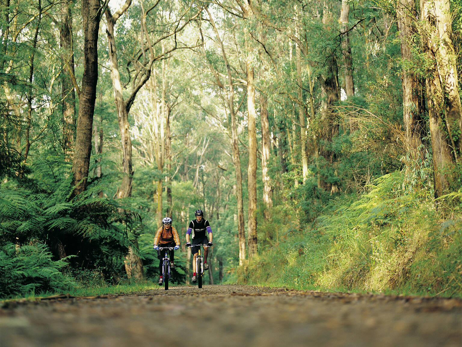 17 Best Weekend Getaways From Melbourne In Victoria