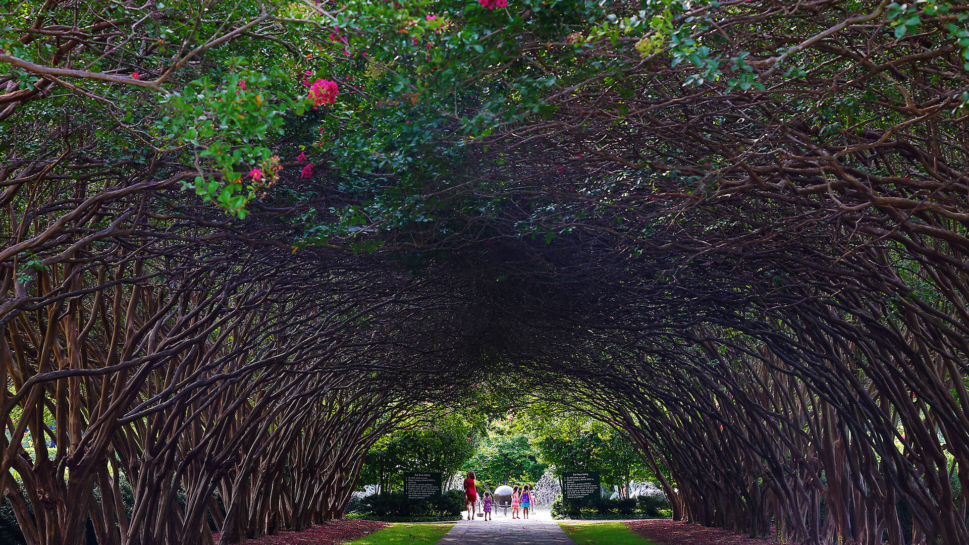 Dallas Arboretum and Botanical Garden | Things to do in Little Forest ...