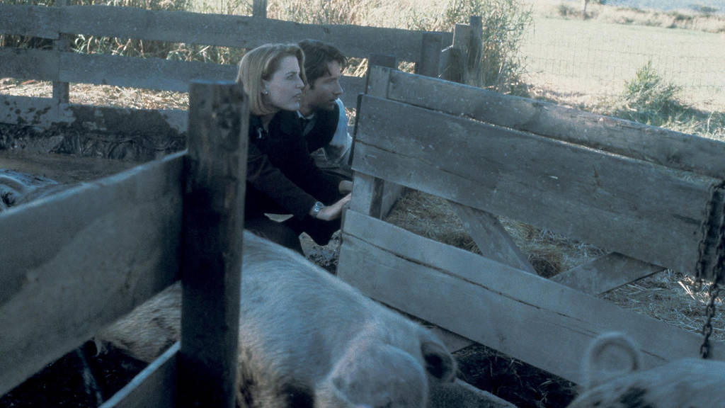 Best X-Files episodes to watch from monsters of the week to aliens