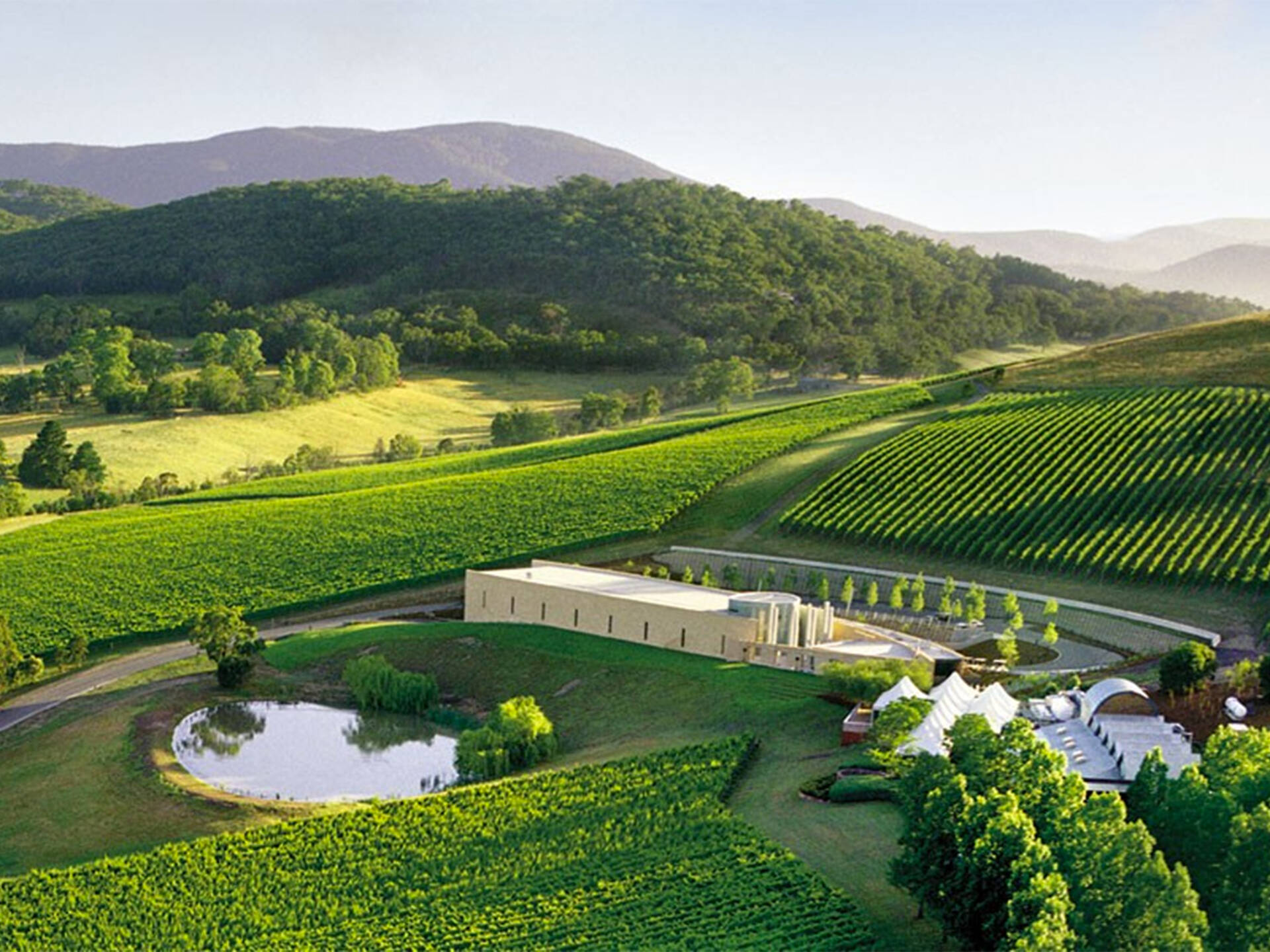 Your ultimate travel guide to the Yarra Valley