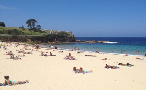 Coogee Area Guide