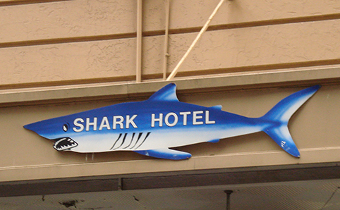 Shark Hotel | Bars in Sydney, Sydney