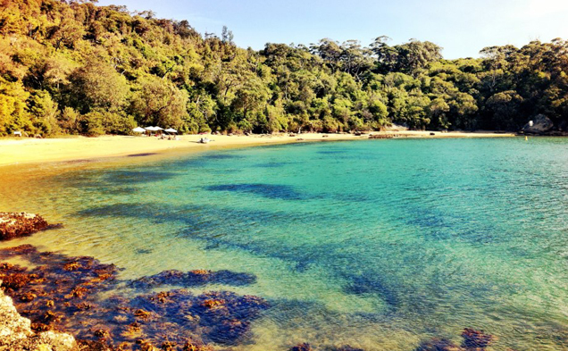 Store Beach | Things to do in Manly, Sydney