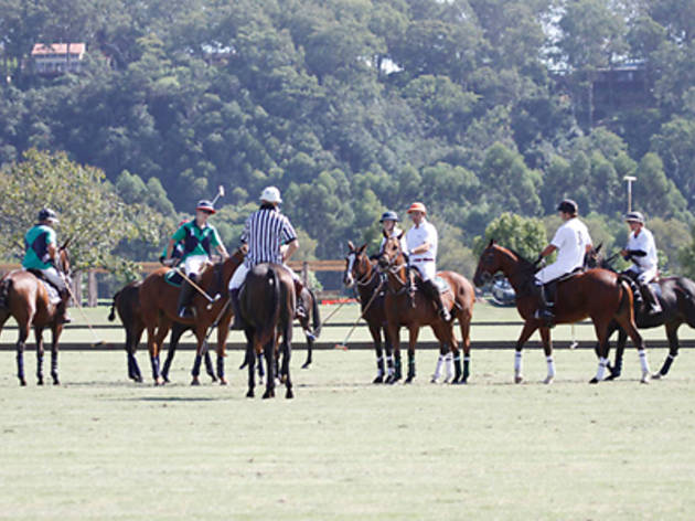 Kurri Burri Farm | Things to do in Western Sydney, Sydney