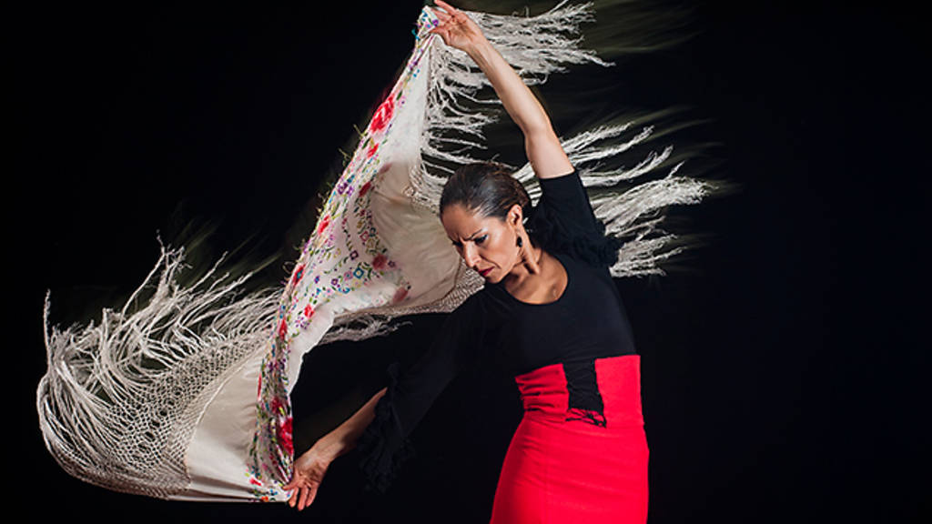 Diana Reyes Flamenco | Things to do in Newtown, Sydney