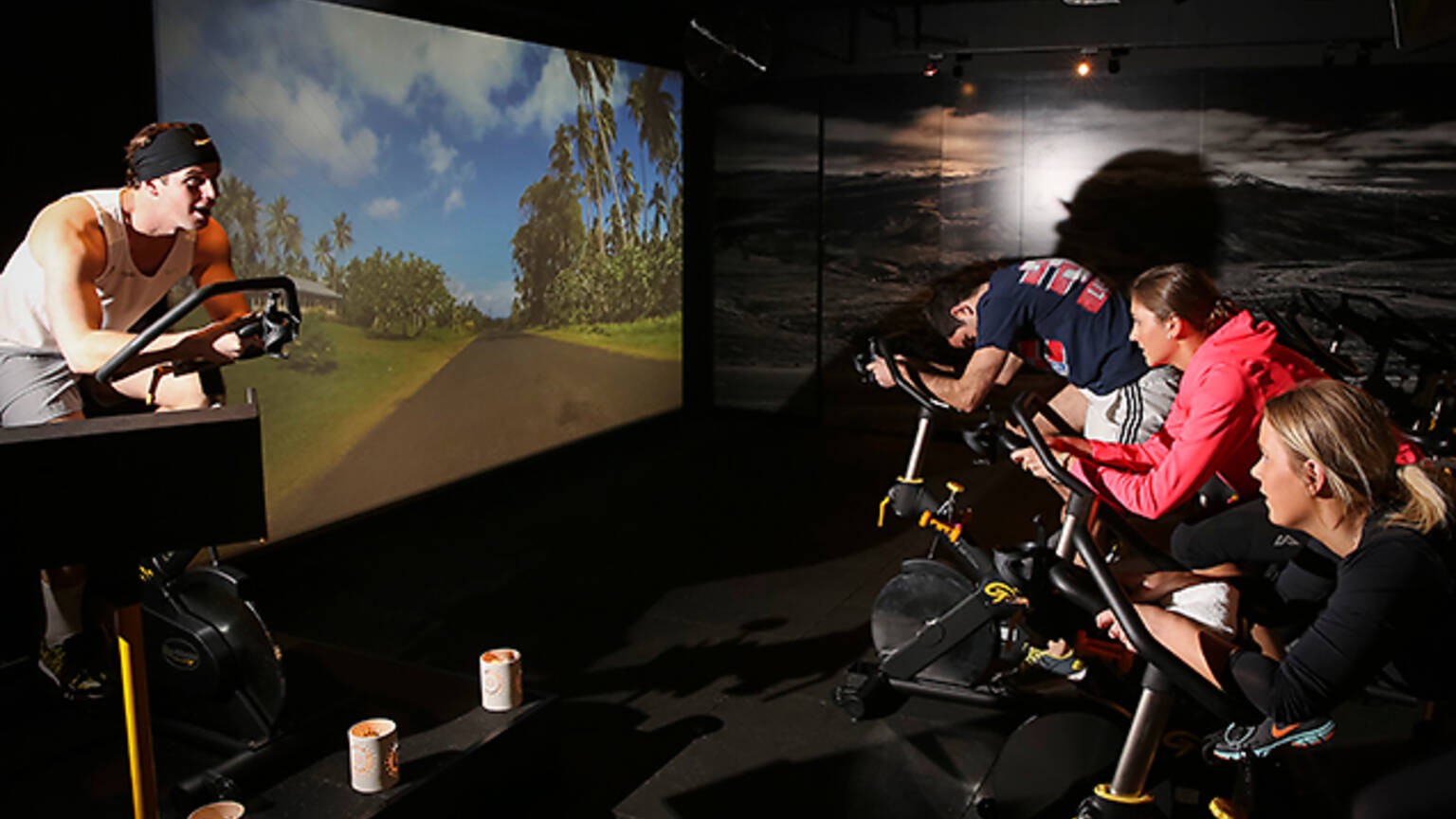 Scenic Cycle | Things to do in Sydney, Sydney