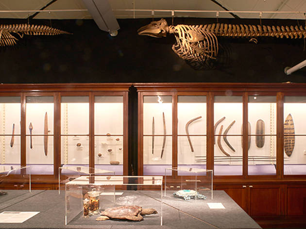 The best museums in Sydney