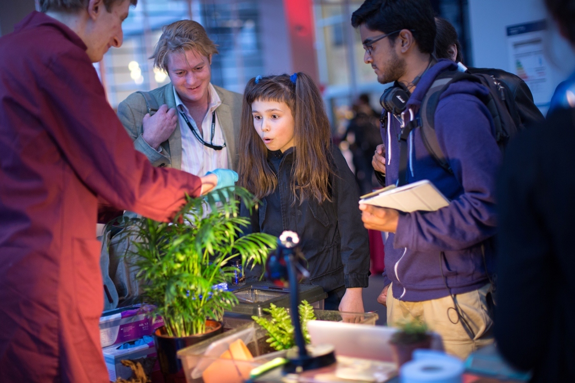 Imperial Fringe | Things to do in London