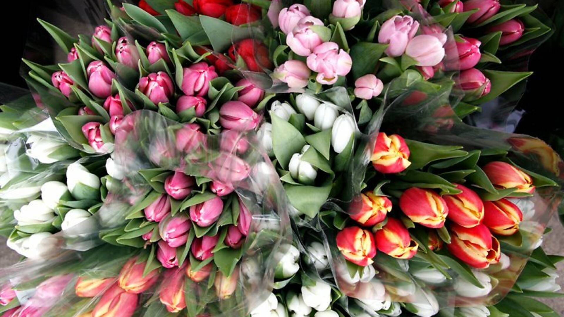 24 Best Chicago Flower Shops for Gorgeous Arrangements