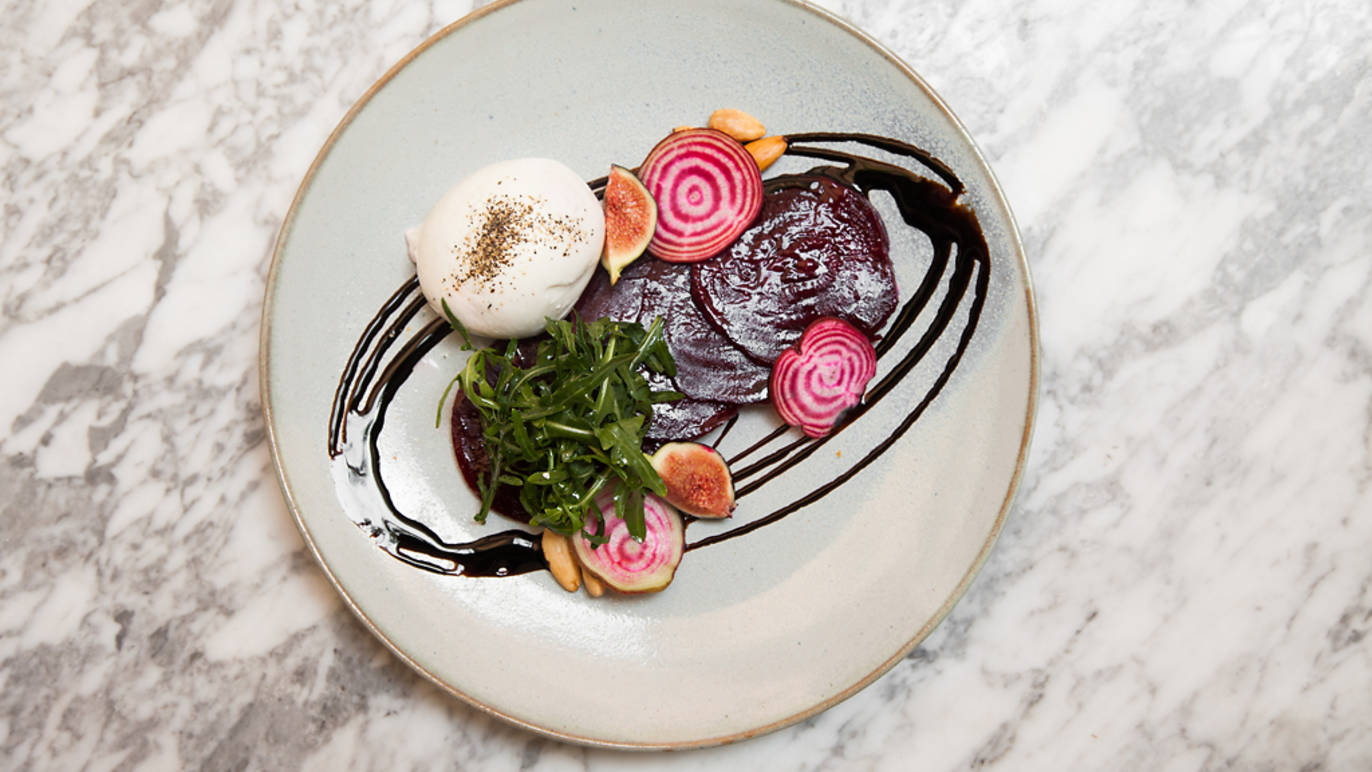 Blanco Colima | Restaurants in Roma, Mexico City