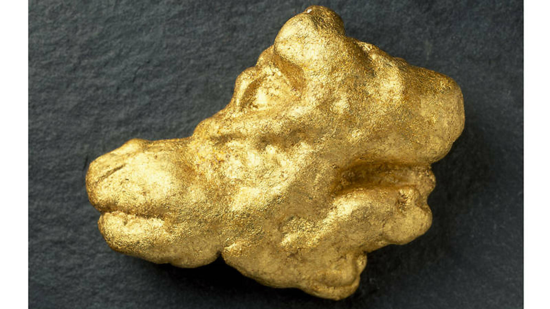 The seven best bits of the Natural History Museum - things to find in ...