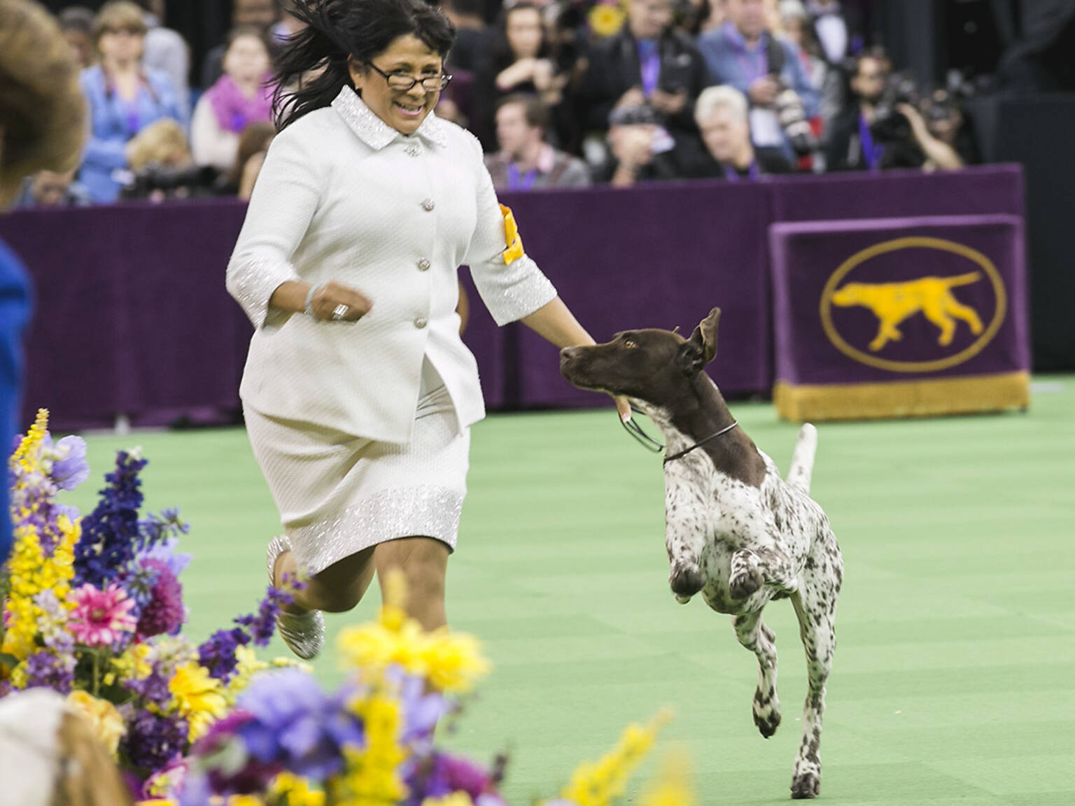 Check out all the breeds with our Westminster Dog Show 2016 photos