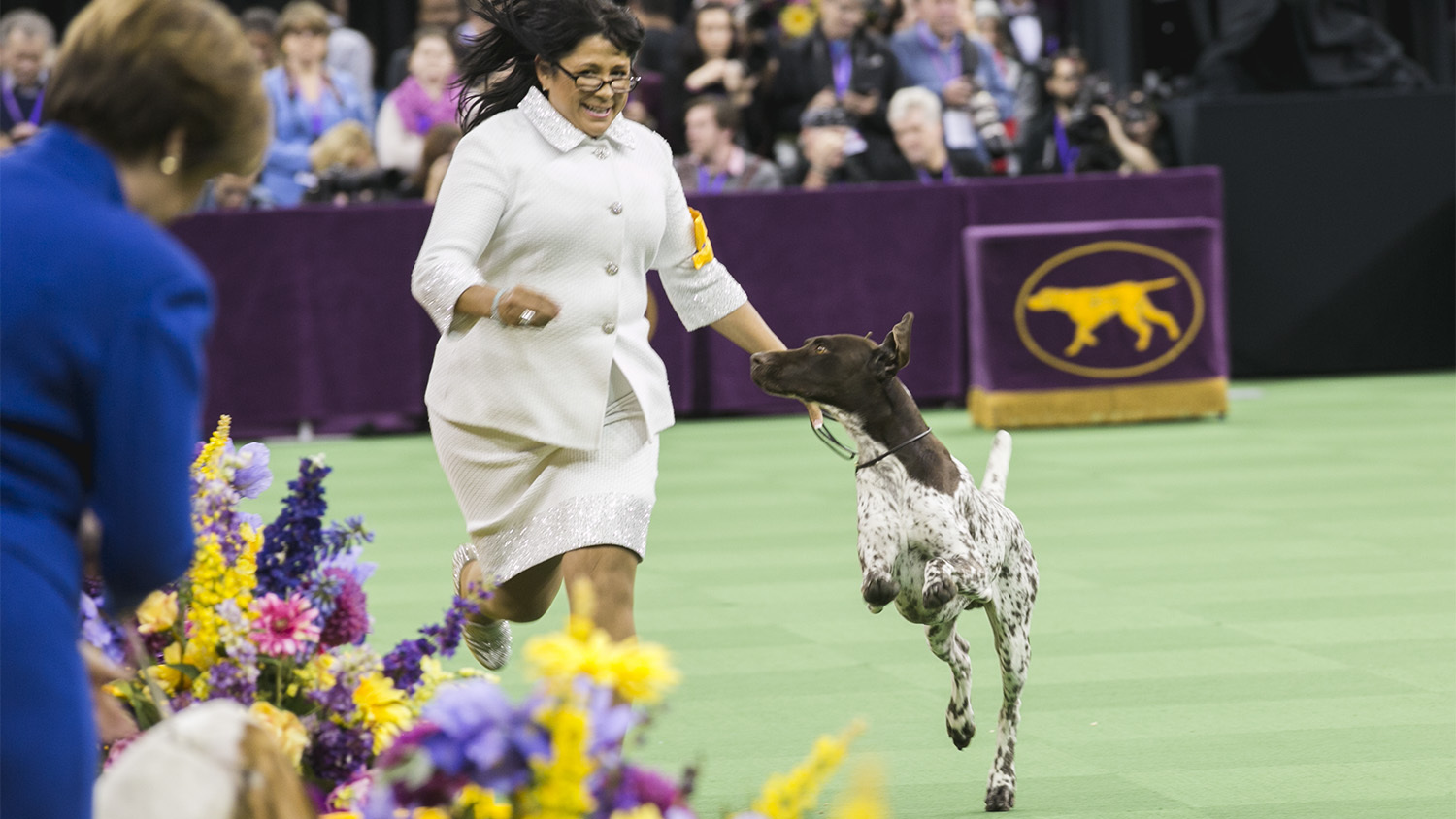 Check out all the breeds with our Westminster Dog Show 2016 photos
