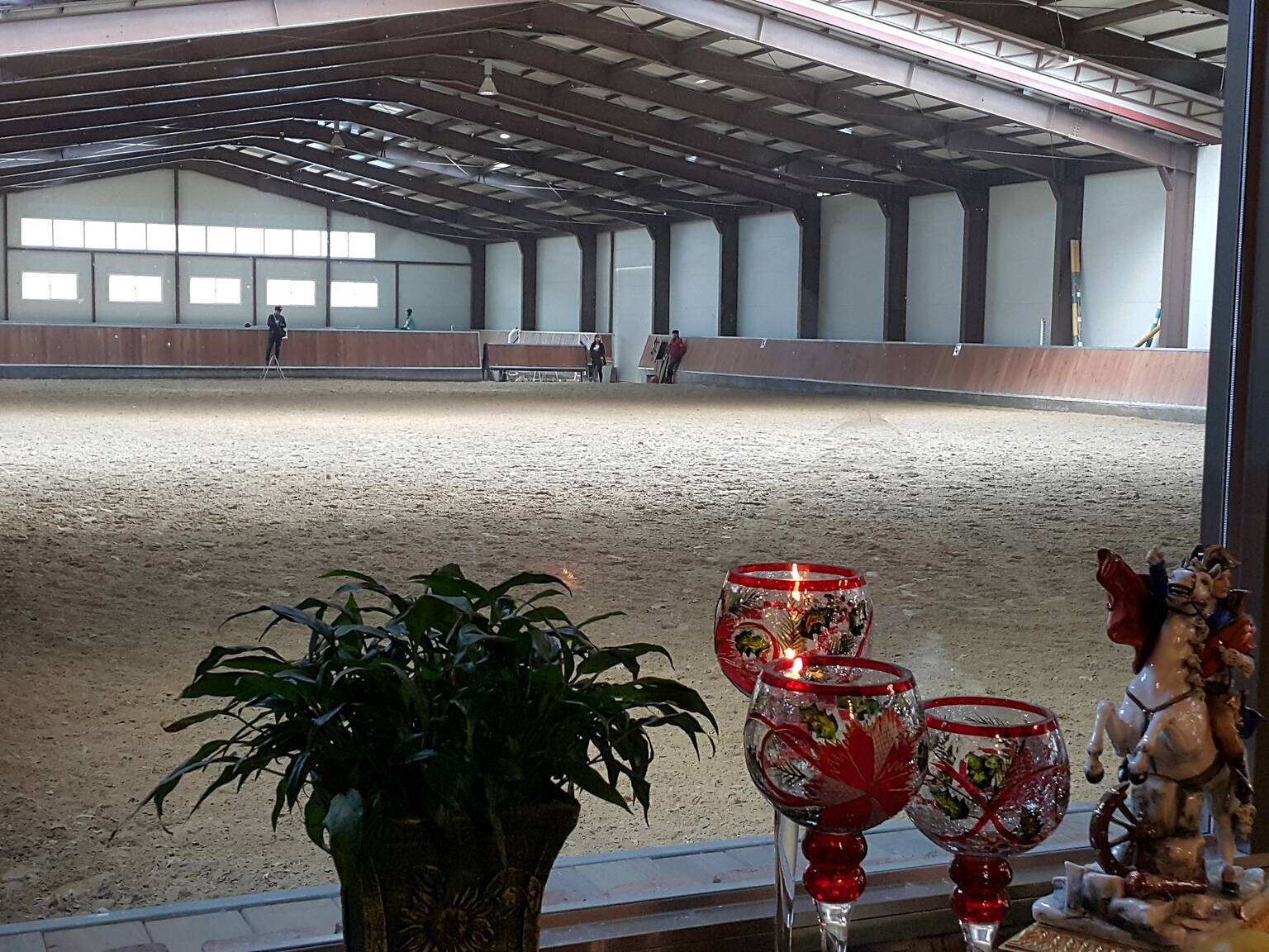 Horse around | Time Out Seoul