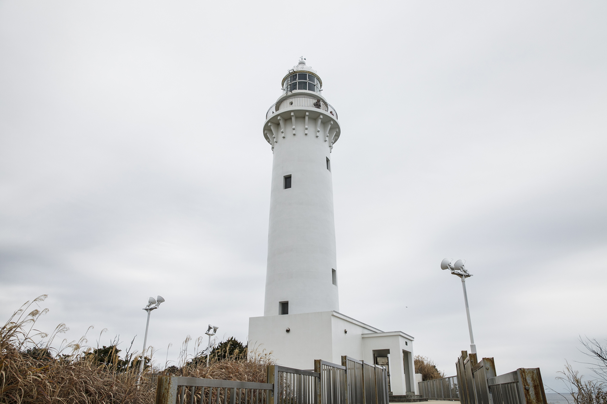 Sea life and hula on Japan’s north coast | Time Out Tokyo