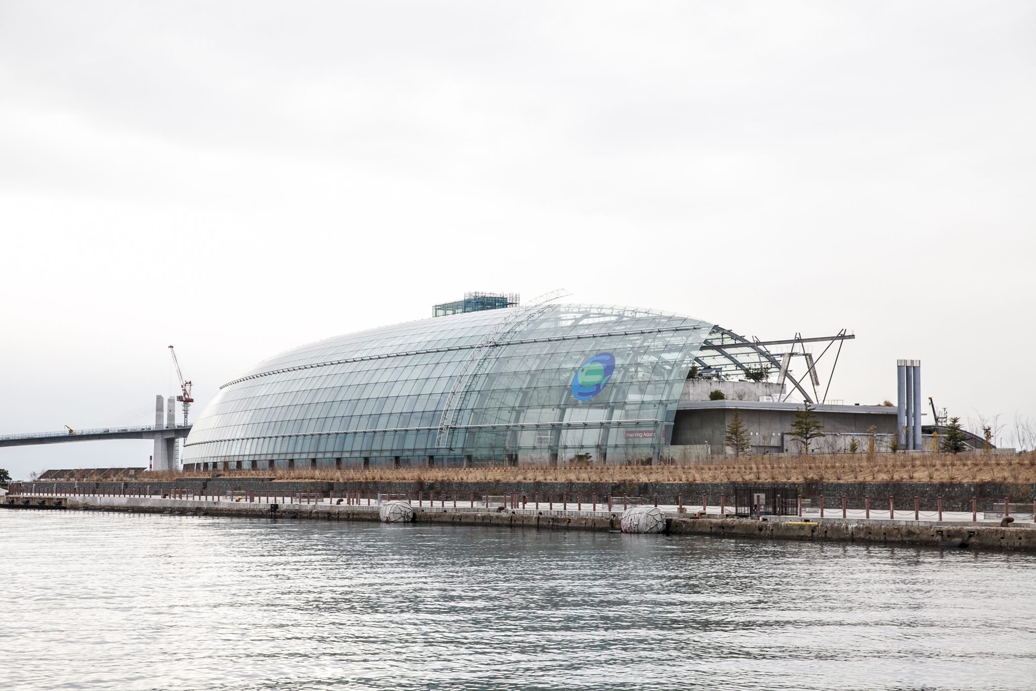 Sea life and hula on Japan’s north coast | Time Out Tokyo