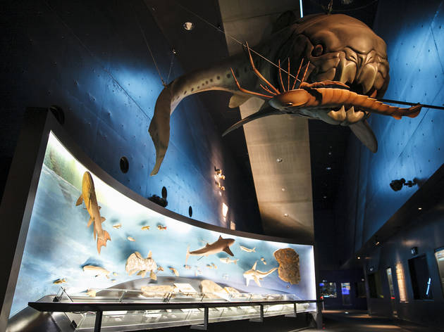 Sea life and hula on Japan’s north coast | Time Out Tokyo