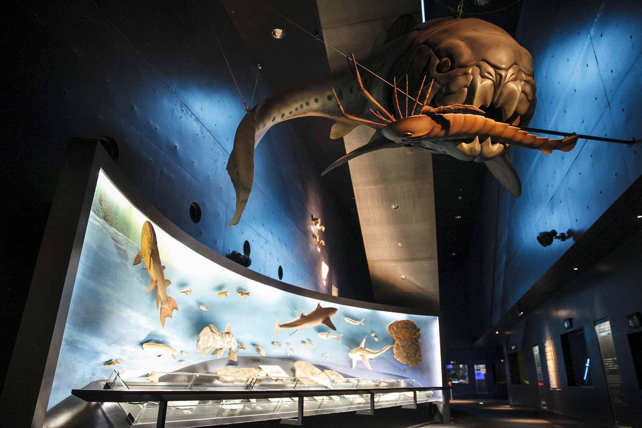 Sea life and hula on Japan’s north coast | Time Out Tokyo