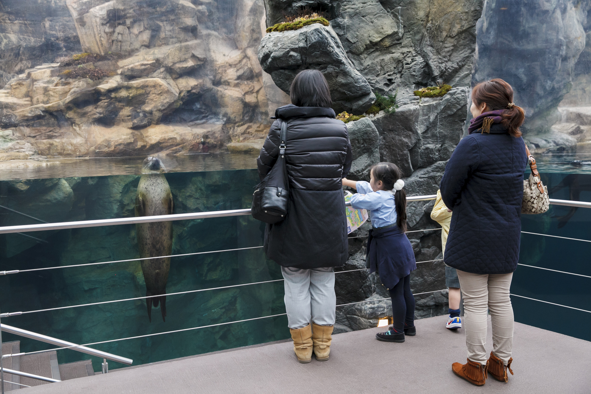 Sea life and hula on Japan’s north coast | Time Out Tokyo