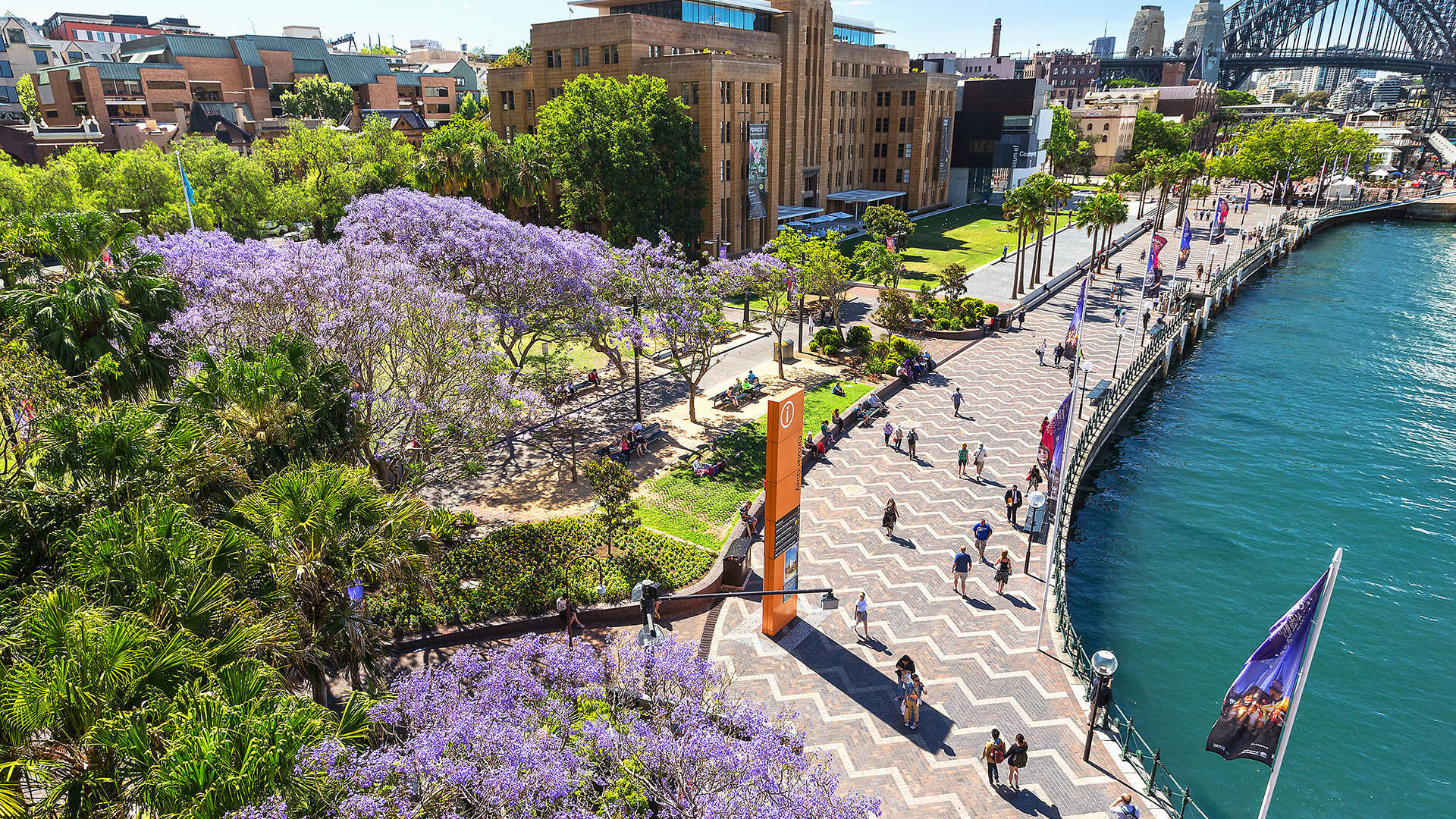 Sydney Neighbourhood Guide Best Areas To Explore Sydney Neighbourhood Guide Best Areas To Explore