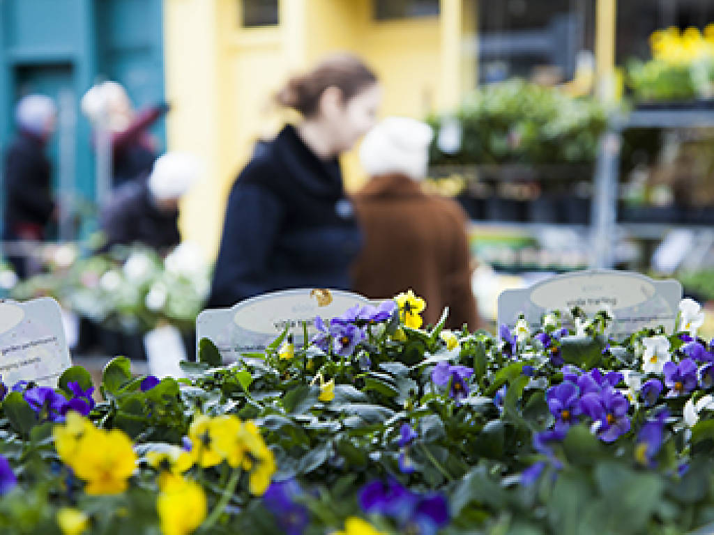 Top five early morning markets in London - Time Out London