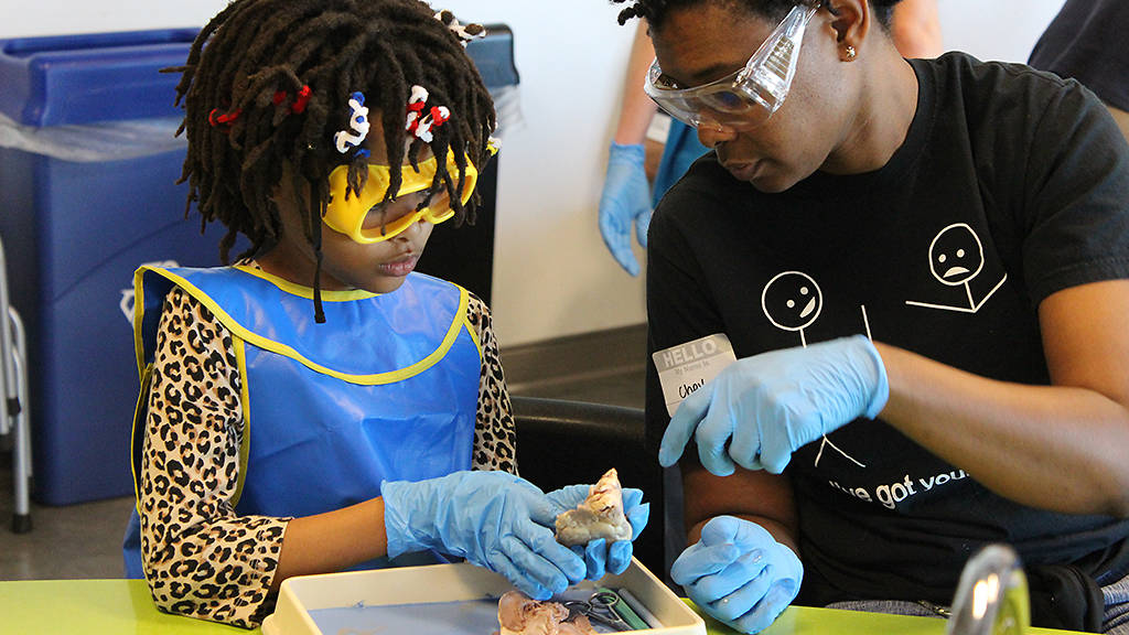 Thinkery | Attractions in Rmma, Austin