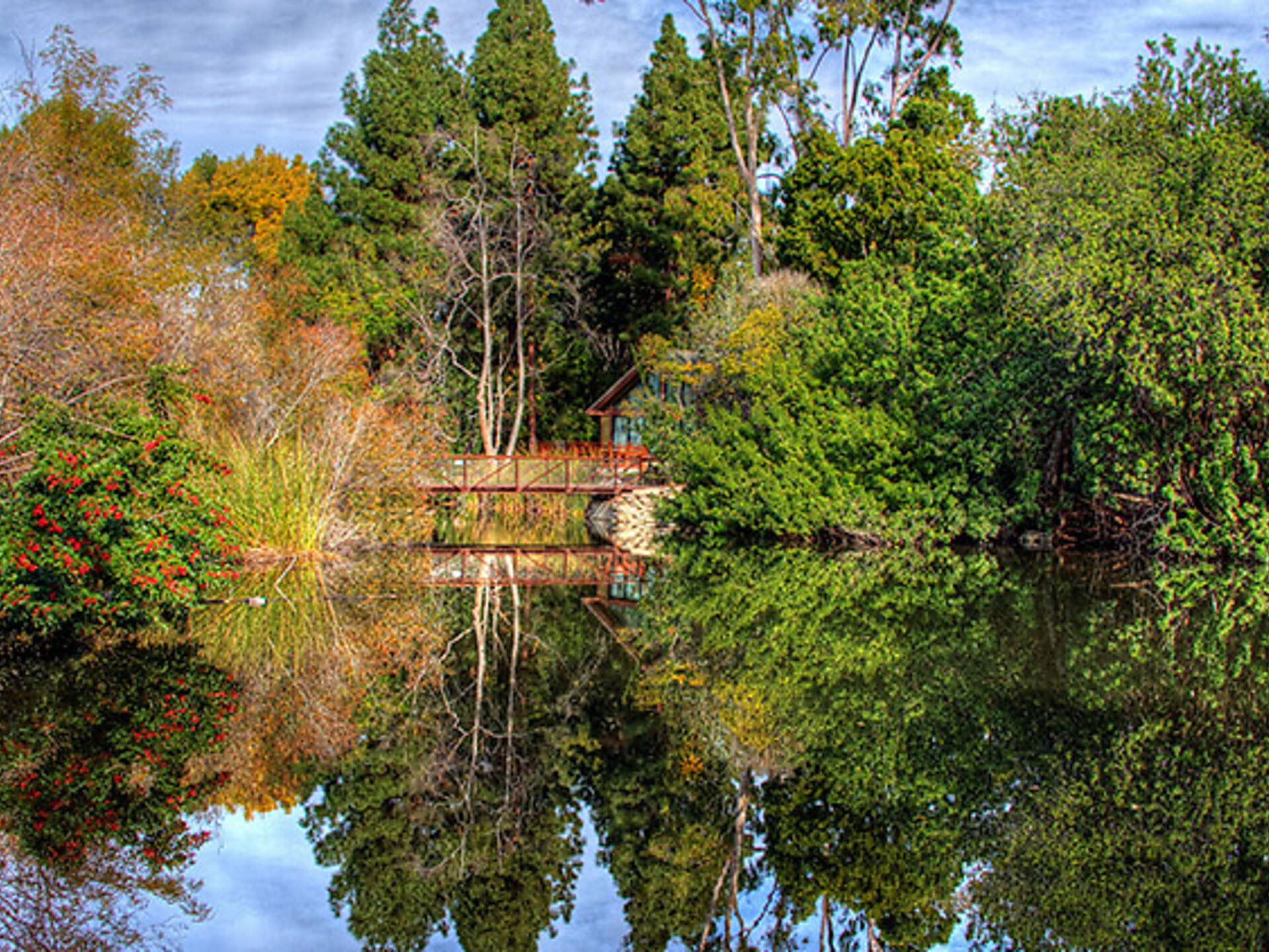 Best Parks in Los Angeles, From Griffith Park to Grand Park