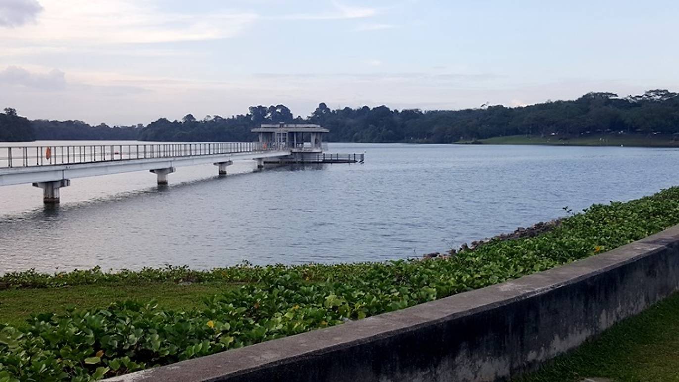 Upper Seletar Reservoir | Things to do in Mandai, Singapore