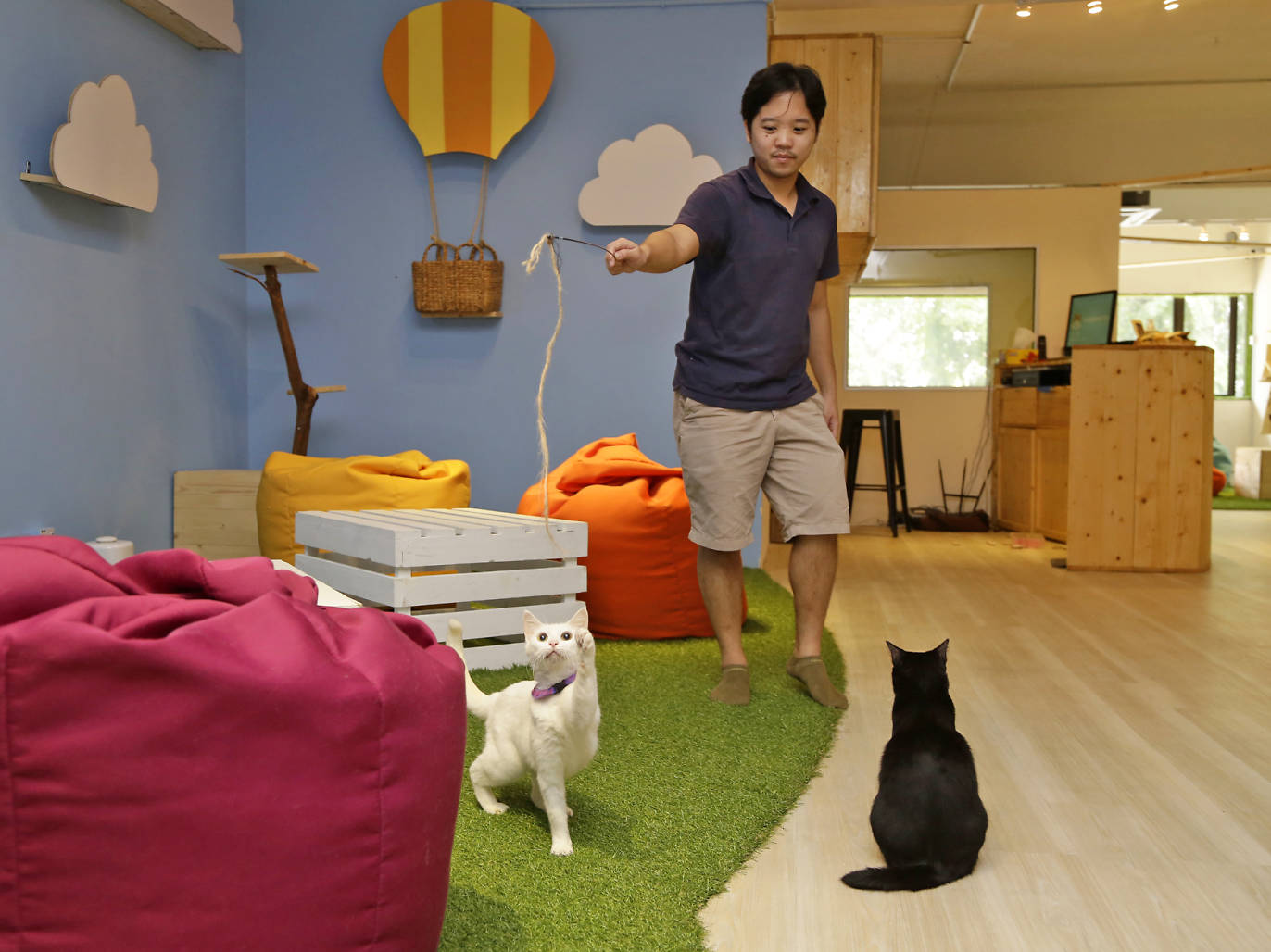 Reviewed: Pet cafés in KL