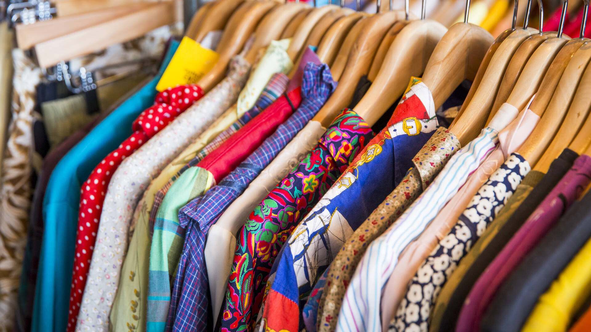 The Collective Ensemble | Shopping in Newtown, Sydney