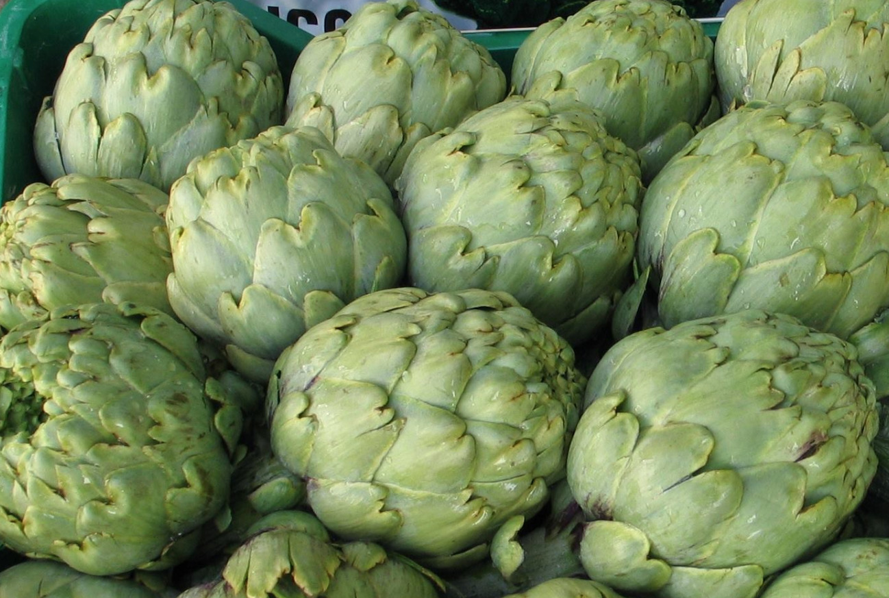 5 razones por las que la alcachofa es el producto de temporada