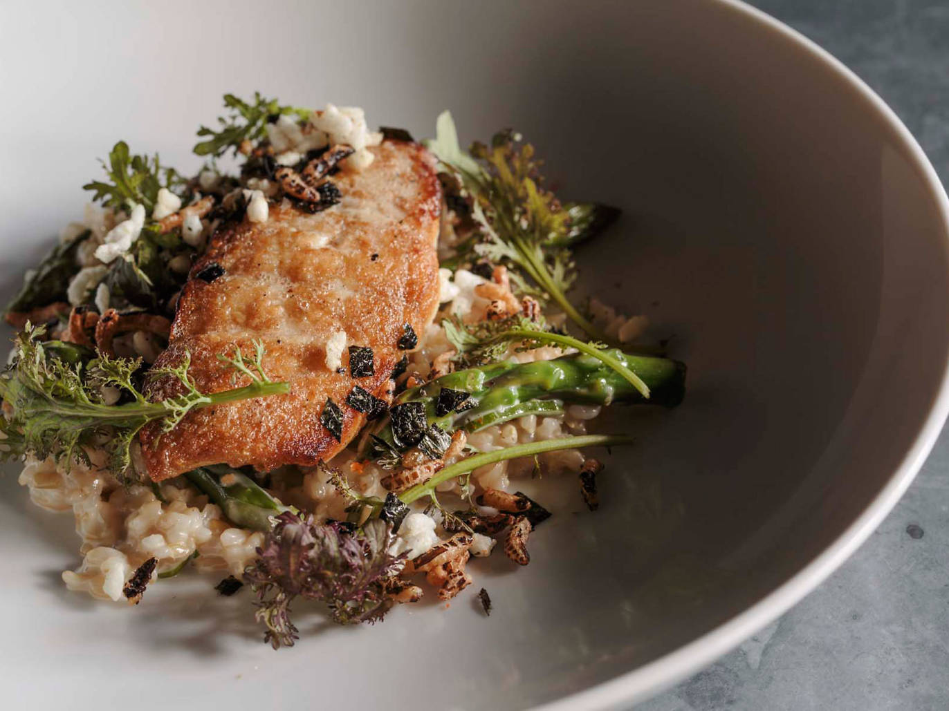 The Best French Restaurants in San Francisco to Try Right Now