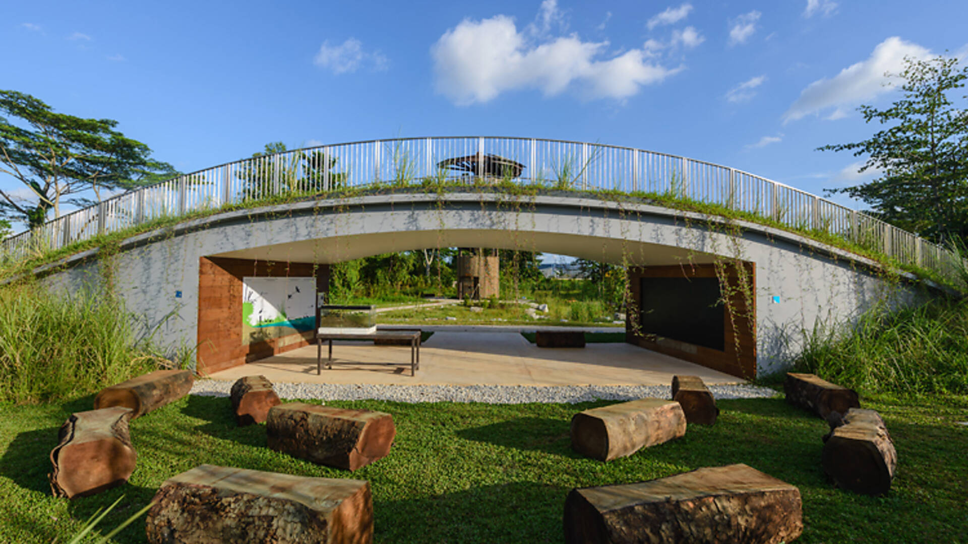 The Guide to Kranji Marshes in Singapore