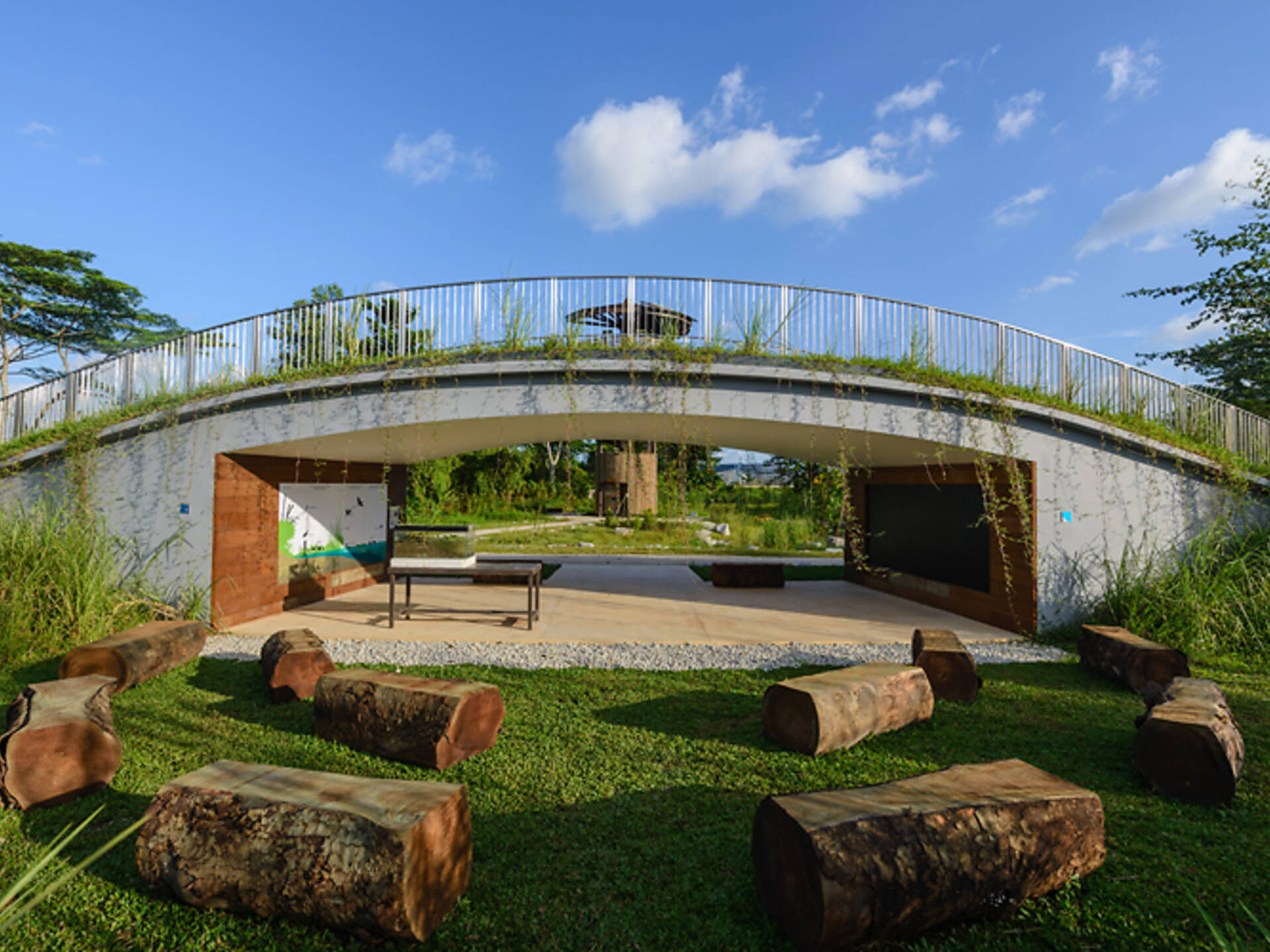 The Guide to Kranji Marshes in Singapore